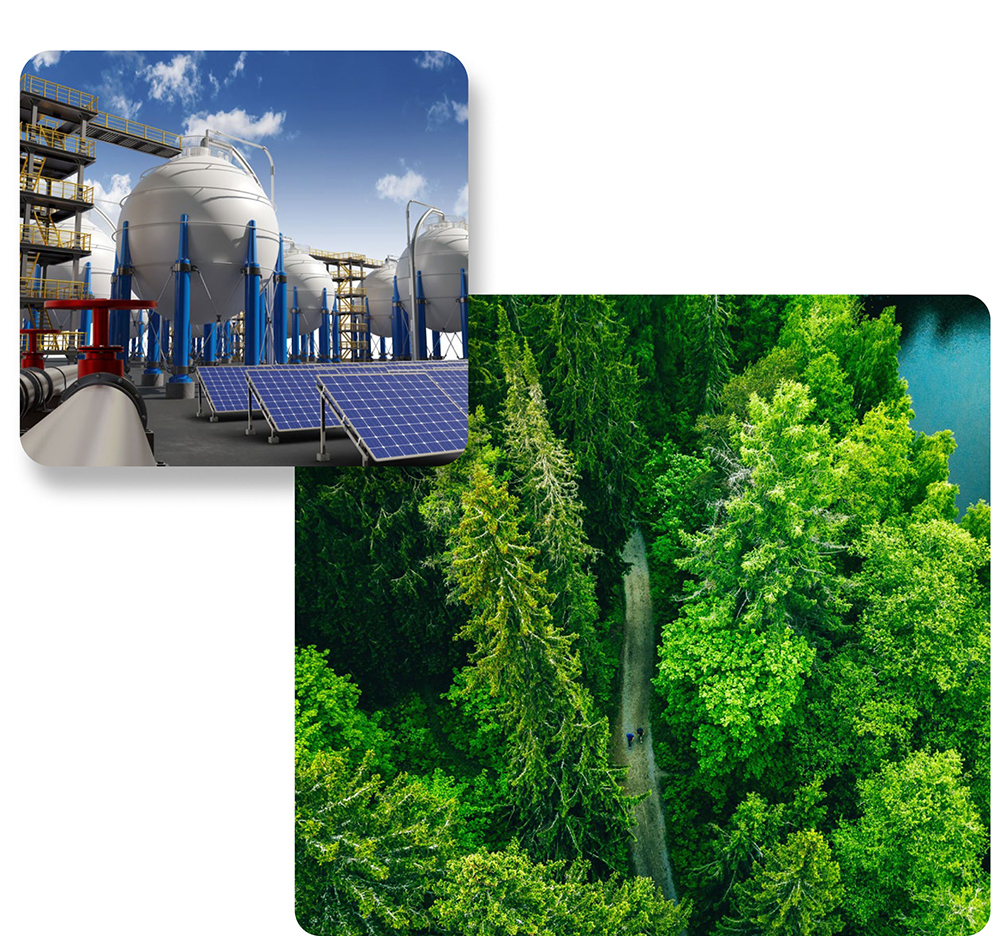 The Role of Hydrogen in Decarbonisation Plans - Sharpe Pritchard